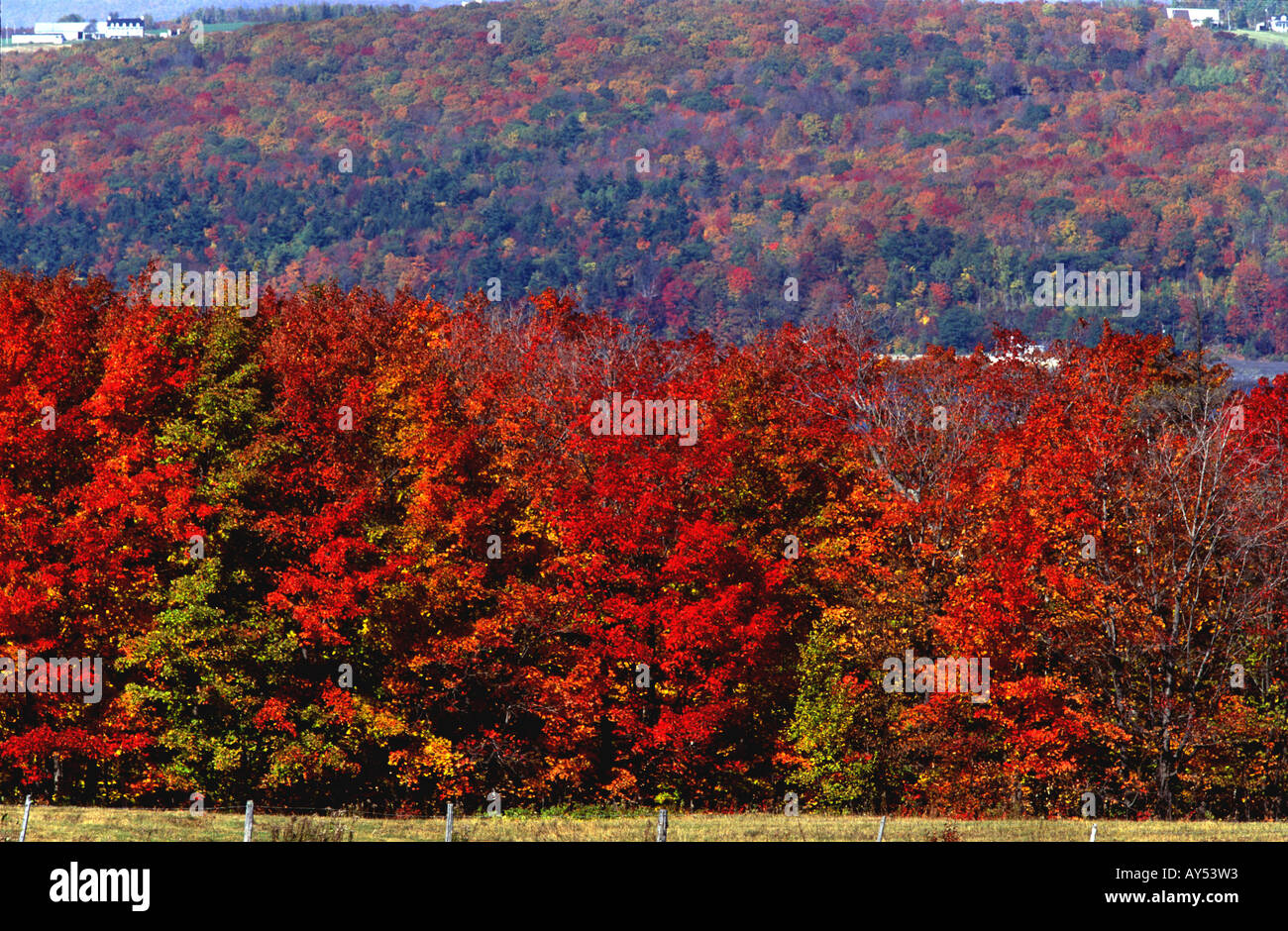 Appalaches hi-res stock photography and images - Alamy