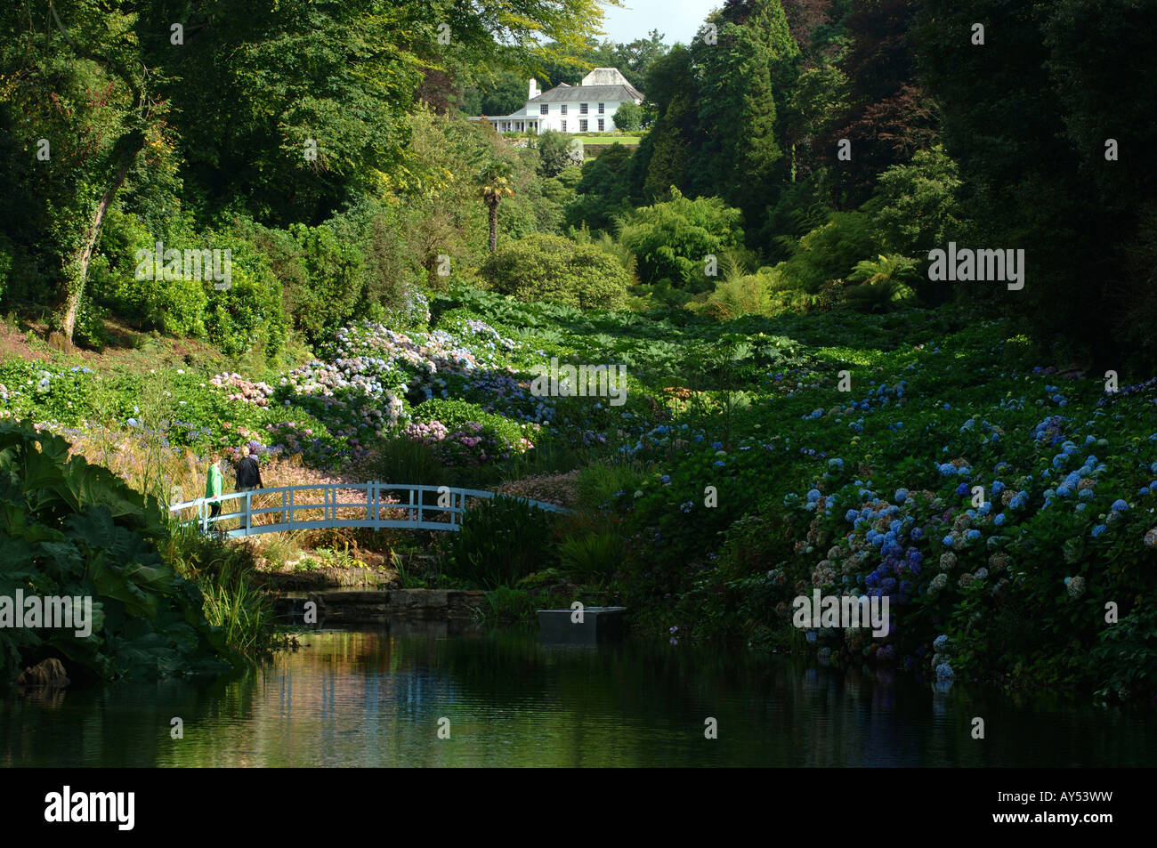 Cornwall Mawnan Smith Trebah botanical Garden a sub tropical ravine ...