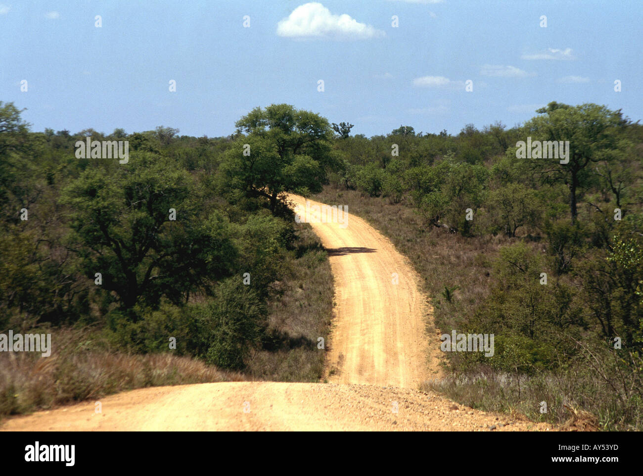 South Africa Kruger Park Stock Photo - Alamy