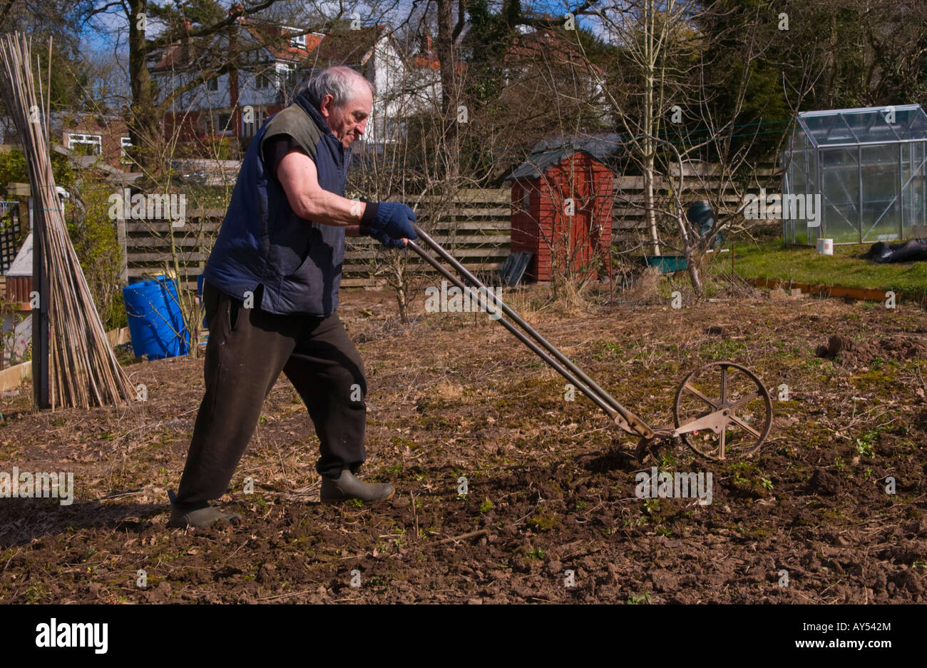 Man working on his vegetable garden using hand weeding plough at Lady ...