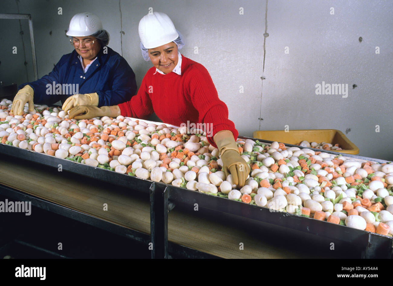Vegetable processing line hi-res stock photography and images - Alamy