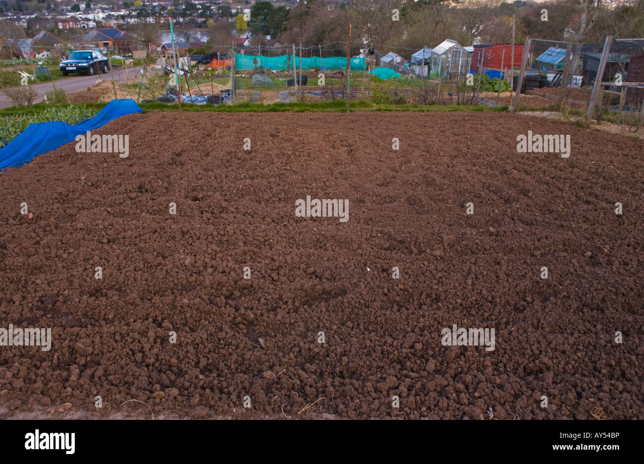 Prepared ground for crops on plot at Lady Mary Allotments Cardiff South ...