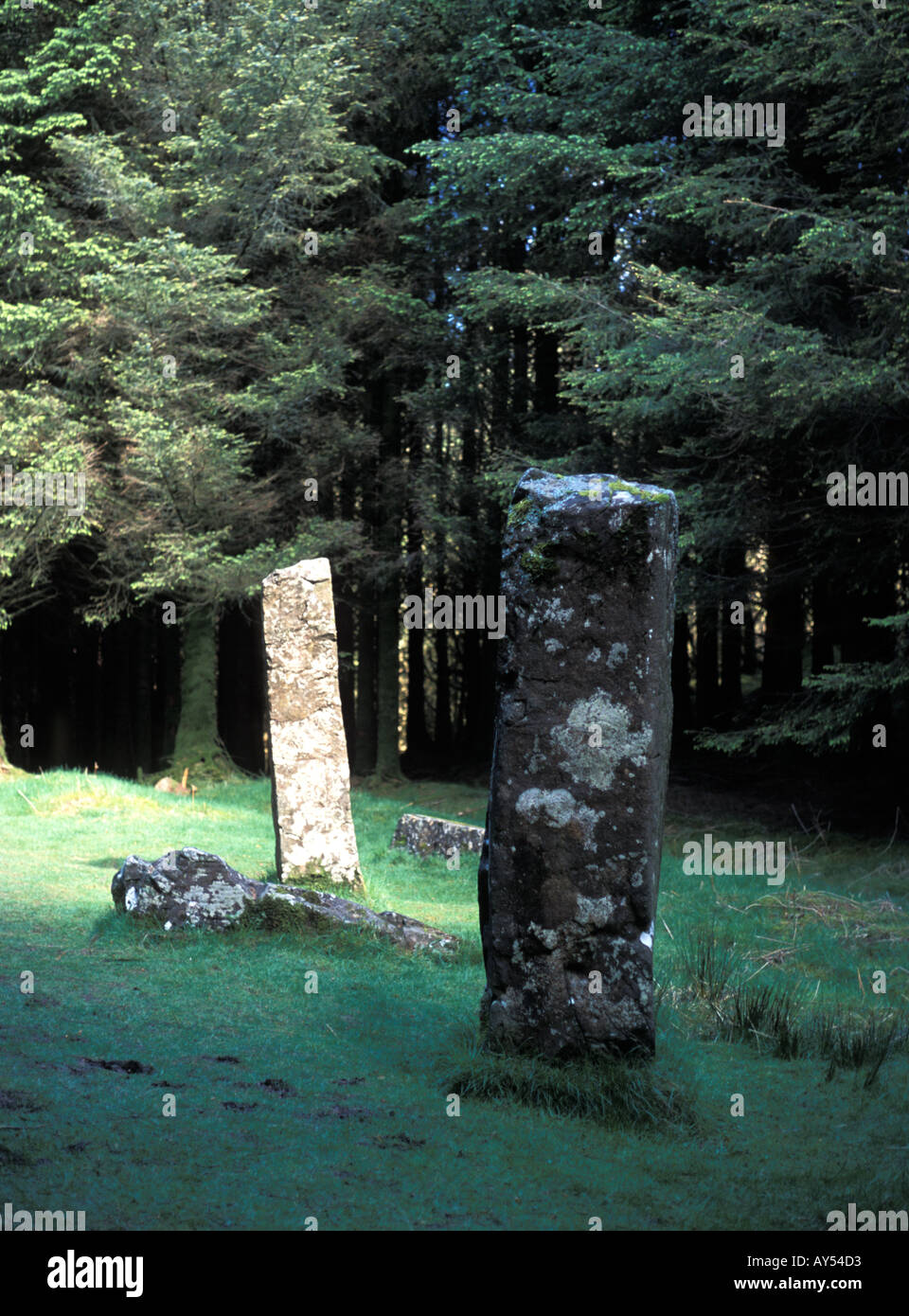 Standing Stones on Isle of Mull near Dervaig Scotland Stock Photo - Alamy
