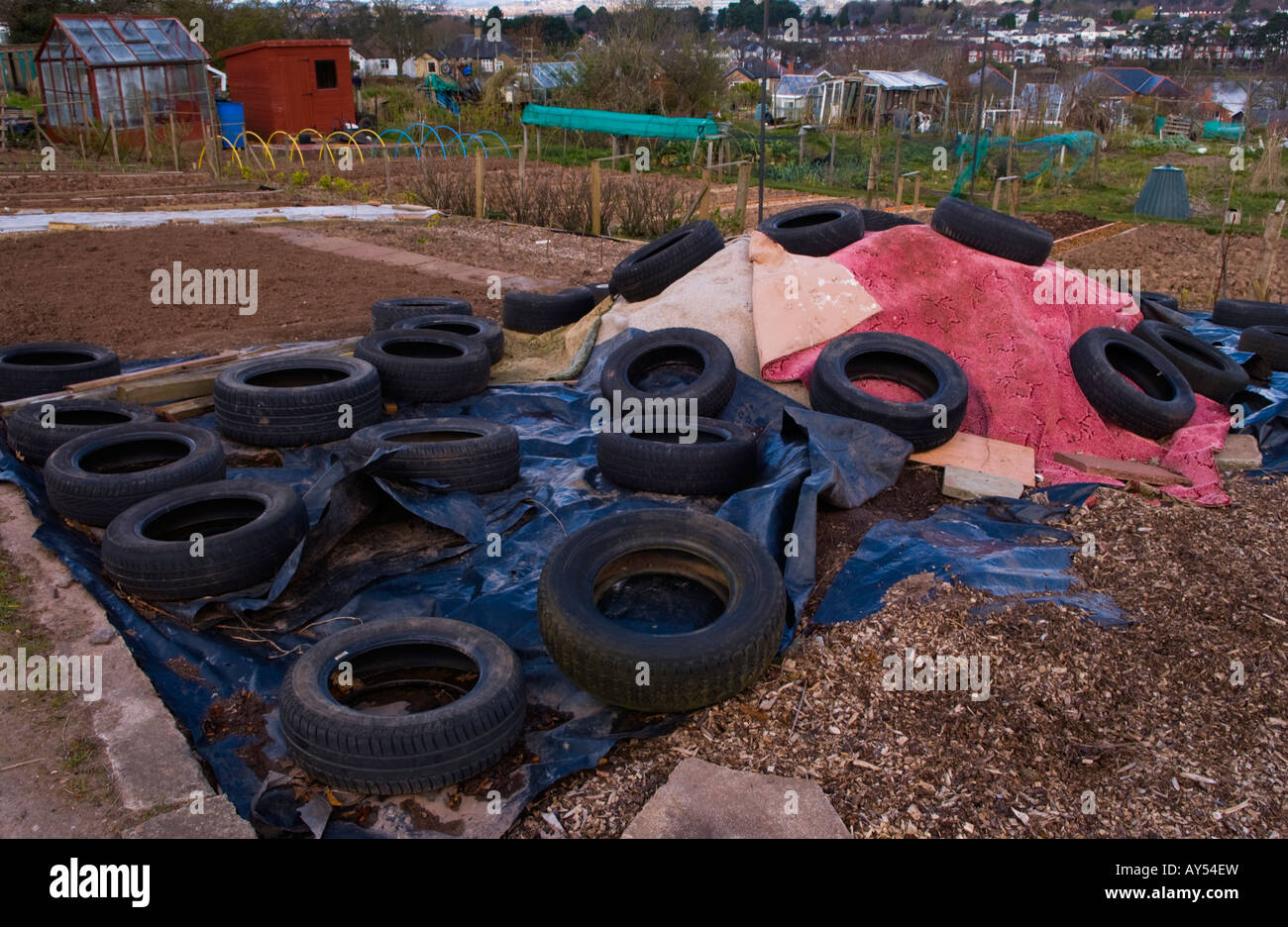 Tyres holding down ground cover on plot at Lady Mary Allotments Cardiff ...