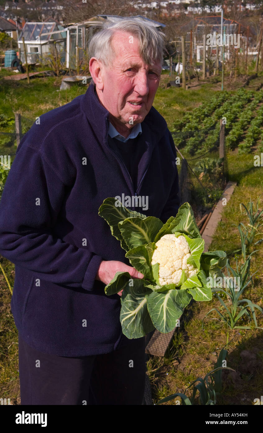 Allotment working people uk hi-res stock photography and images - Alamy