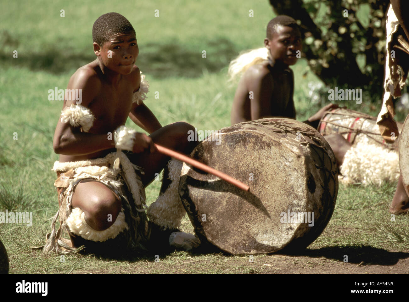 South Africa Hluhluwe Ubizane Wildlife Stock Photo - Alamy