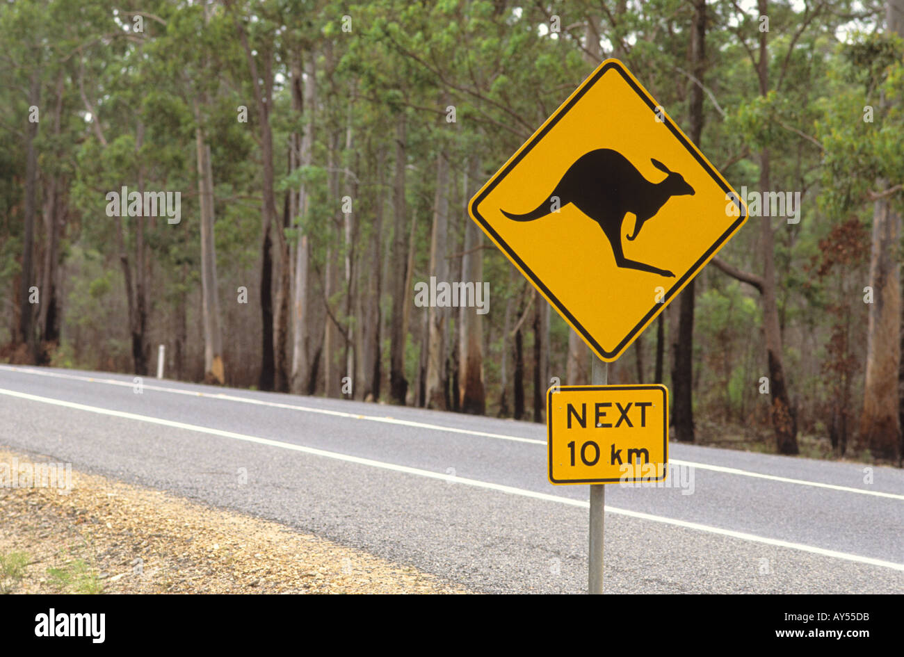 Australian road sign warning of kangaroo crossing Stock Photo - Alamy