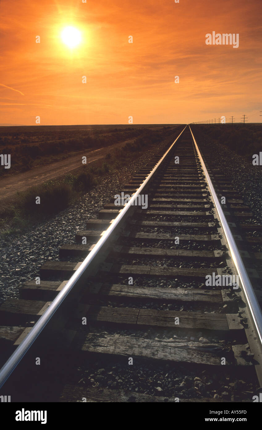 Railroad tracks converge at sunset Stock Photo - Alamy