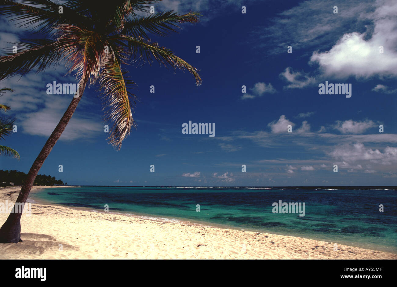 French Caribbean Caribbean Islands Marie Galante Capesterre Beach of ...