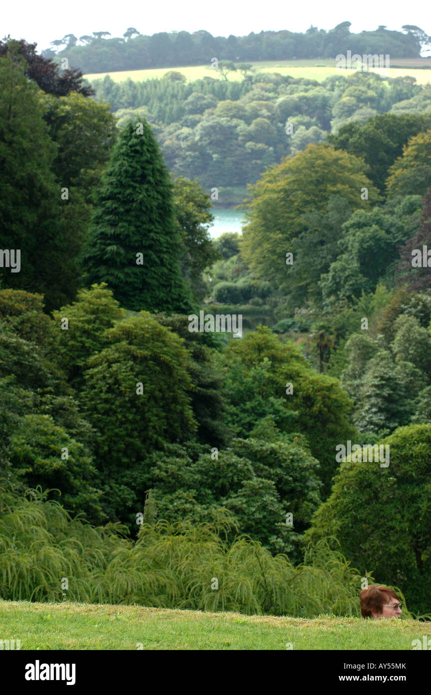 Cornwall Mawnan Smith a visitor of the Trebah botanical Garden a sub ...