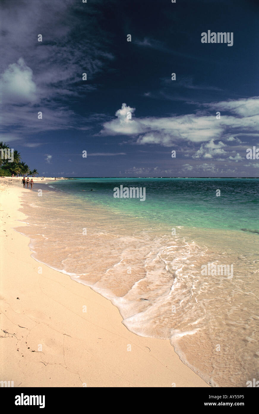 French Caribbean Caribbean Islands Guadeloupe Grande Terre Islet Gosier ...