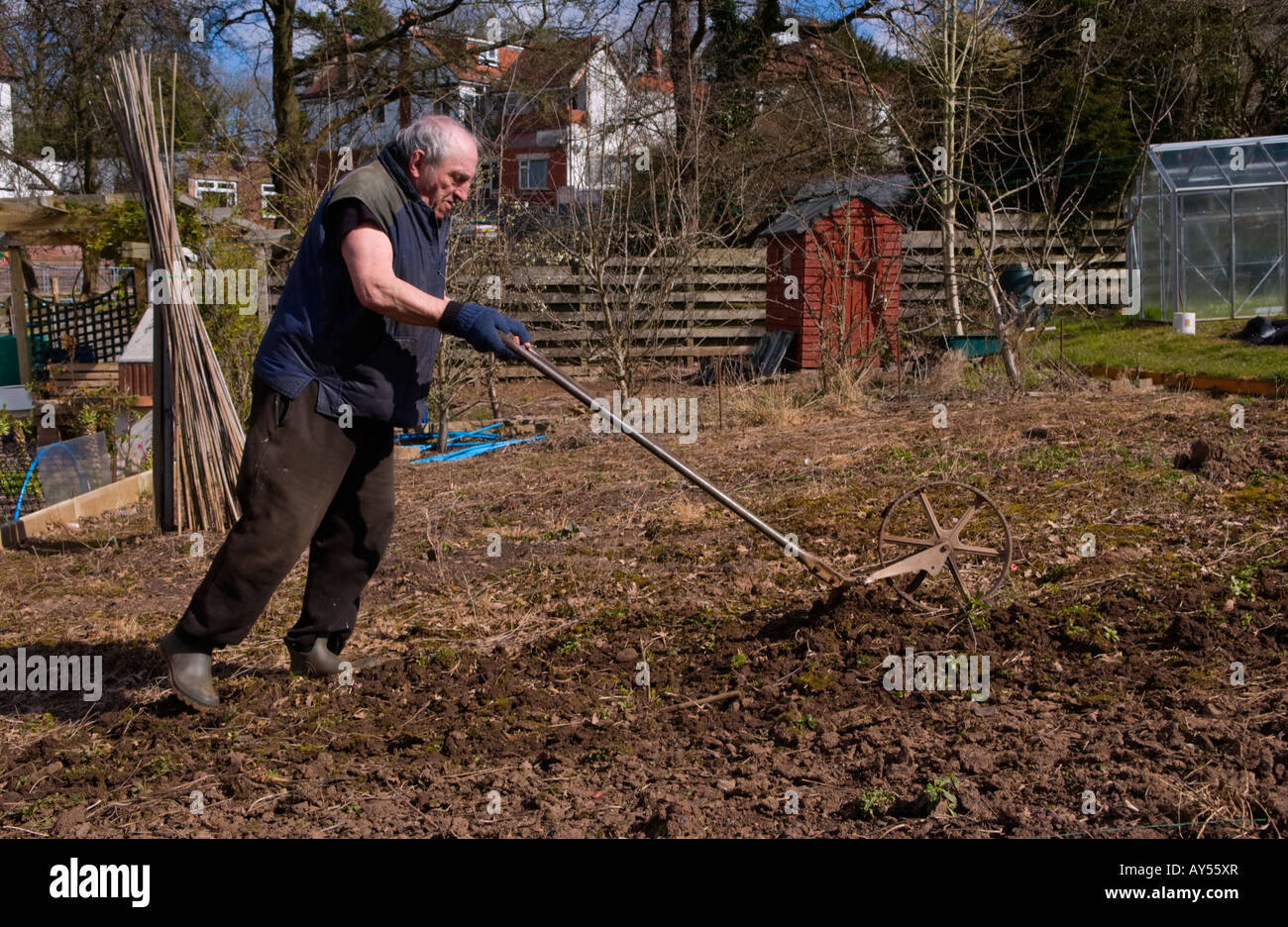 Man working on his vegetable garden using hand weeding plough at Lady ...