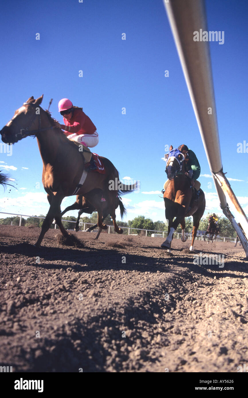 Horse race also hi-res stock photography and images - Alamy