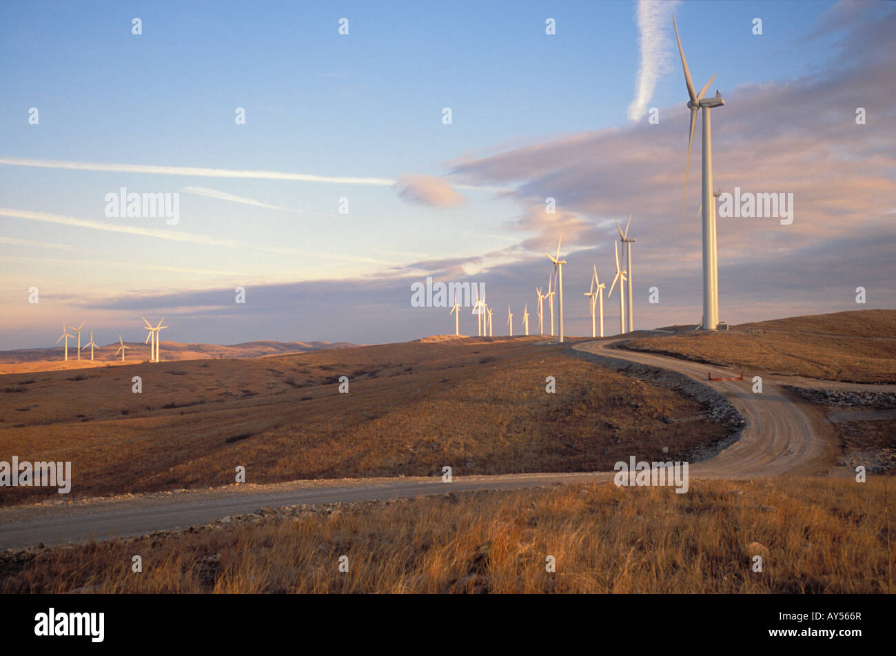 Road winding through Wind turbines in a wind Farm Stock Photo - Alamy