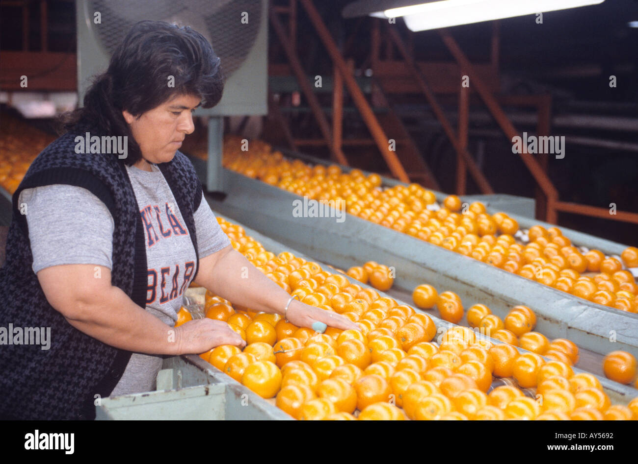 Grades of orange hi-res stock photography and images - Alamy