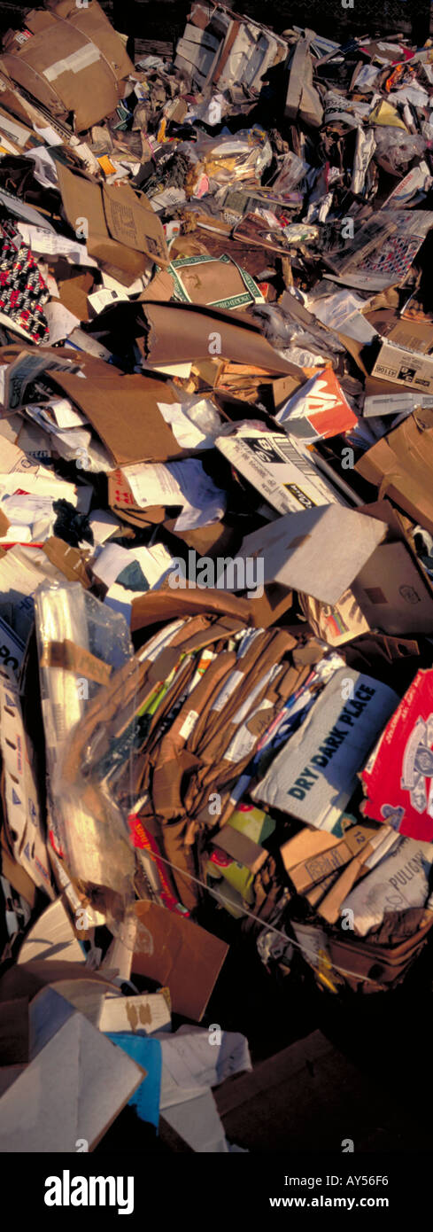 Cardboard at waste transfer station awaiting transport before being ...