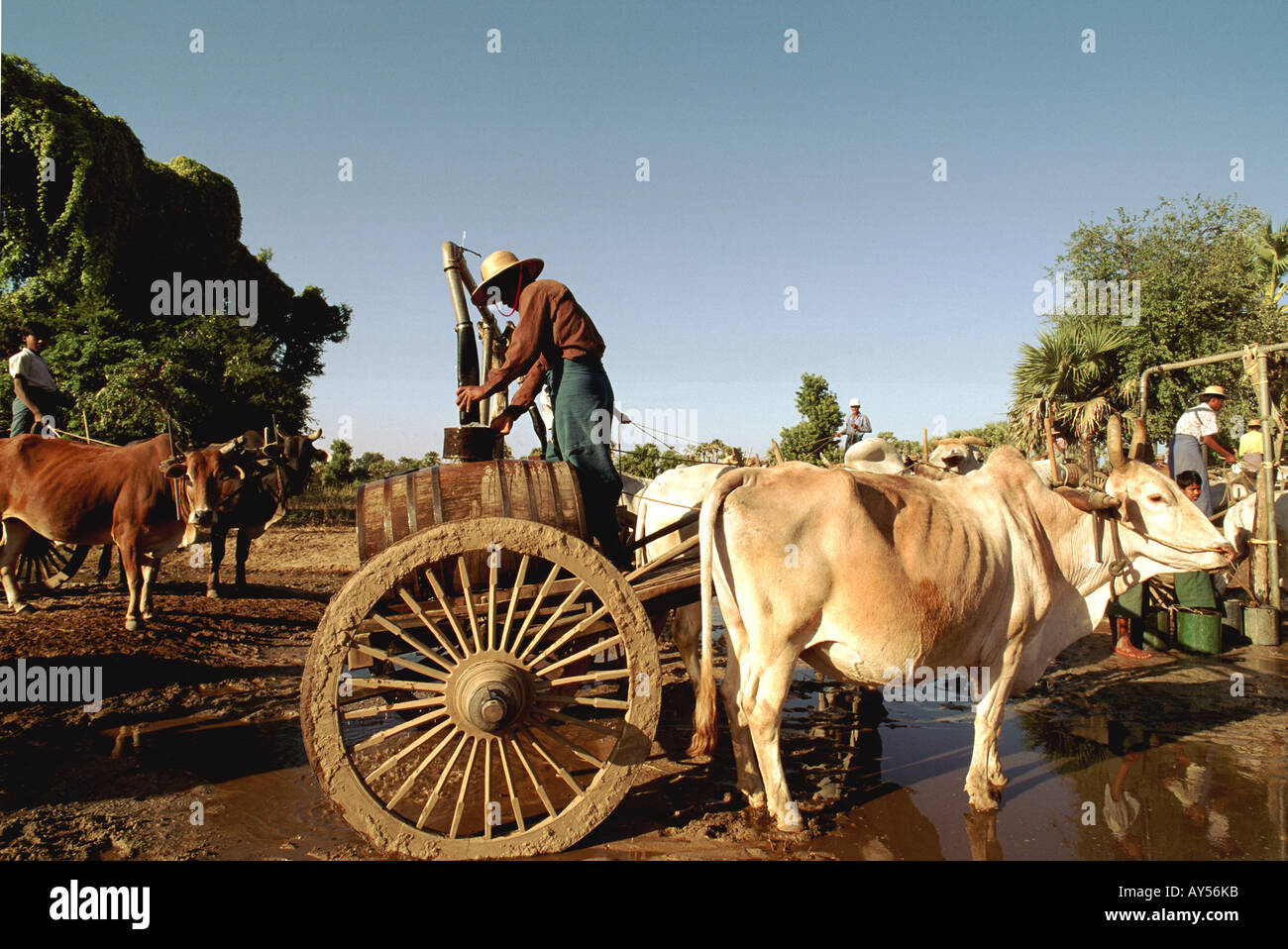 Myanmar Bagan Water Collection Stock Photo - Alamy