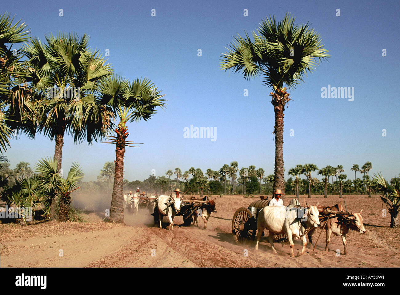 Myanmar Bagan Water Collection Stock Photo - Alamy
