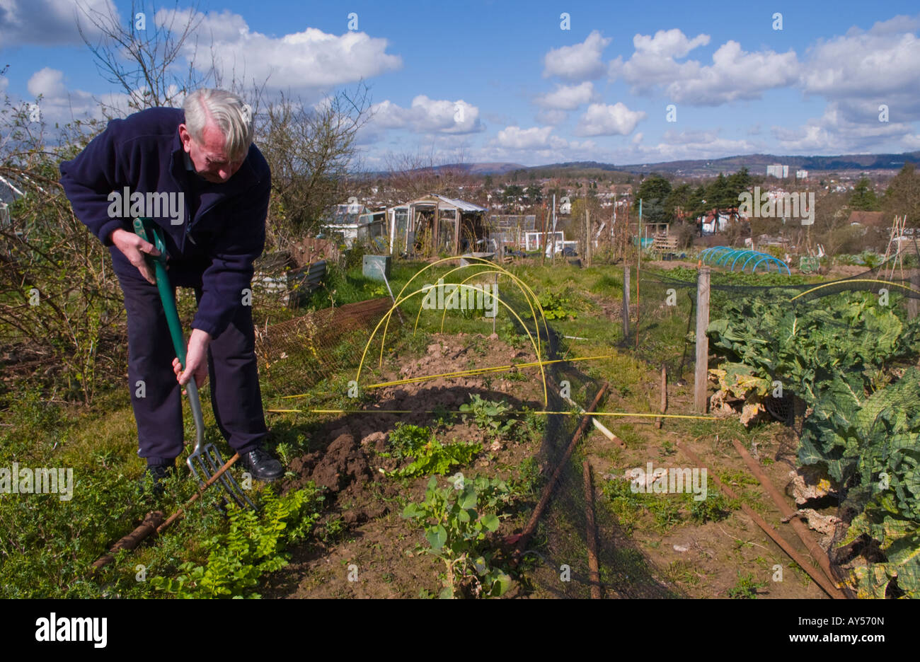 Glam vegetables hi-res stock photography and images - Alamy