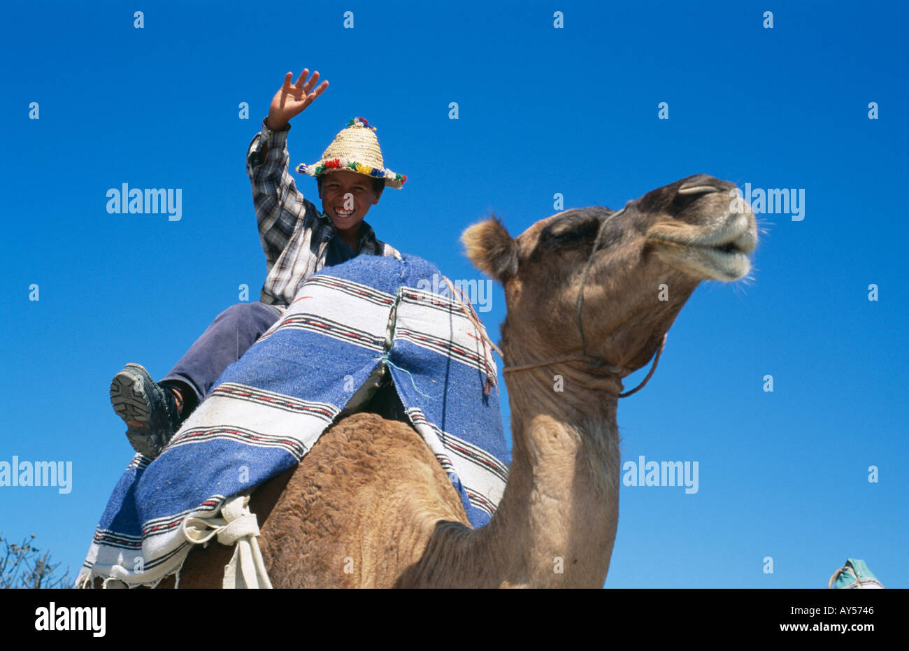Boy smiling and waving on camel hi-res stock photography and images - Alamy