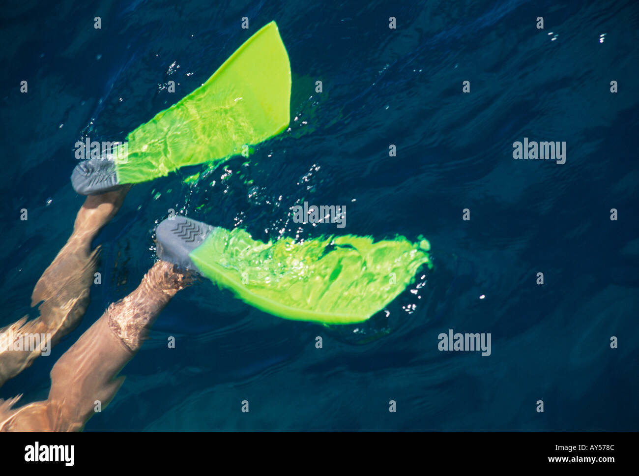 Two legs and flippers in the sea fluorescent green funky flippers ...