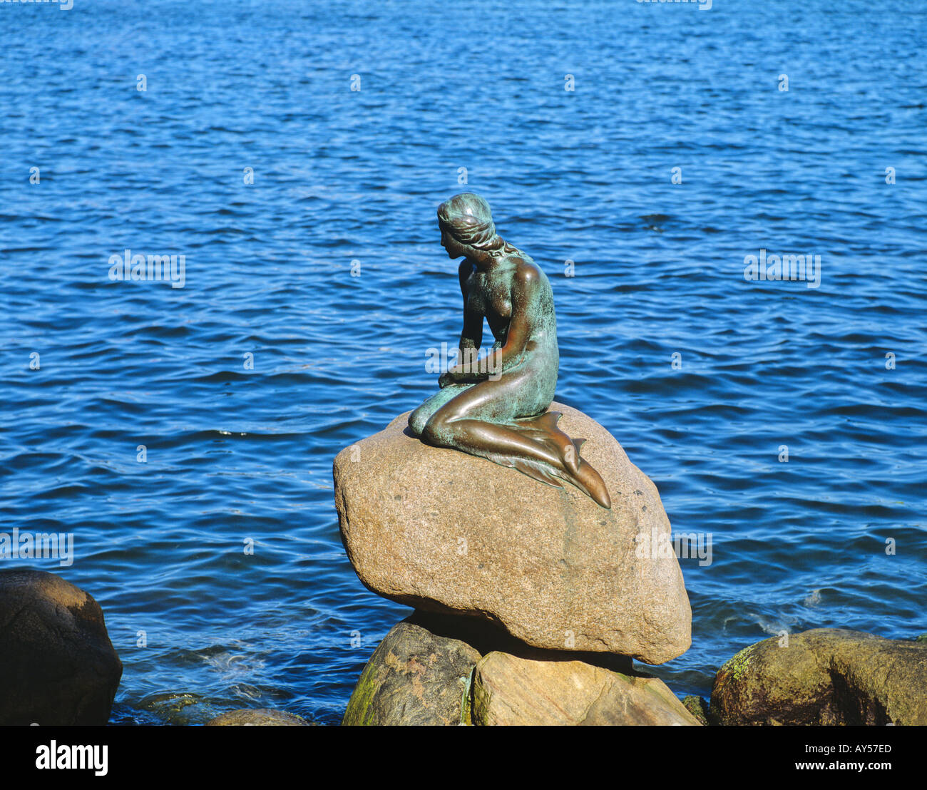 The Little Mermaid Statue Copenhagen Denmark Stock Photo - Alamy