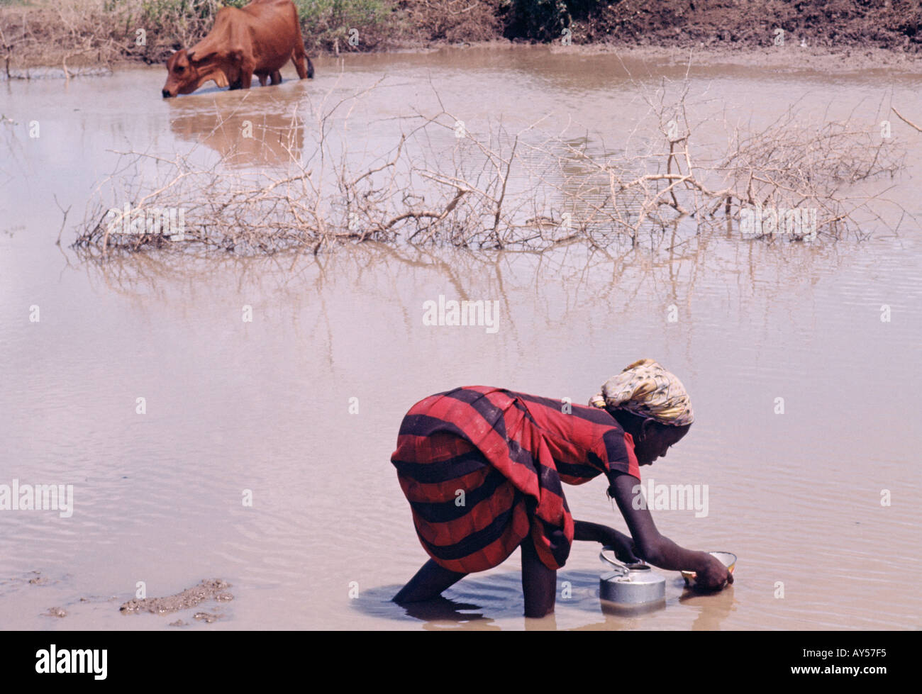Somali girl water hi-res stock photography and images - Alamy