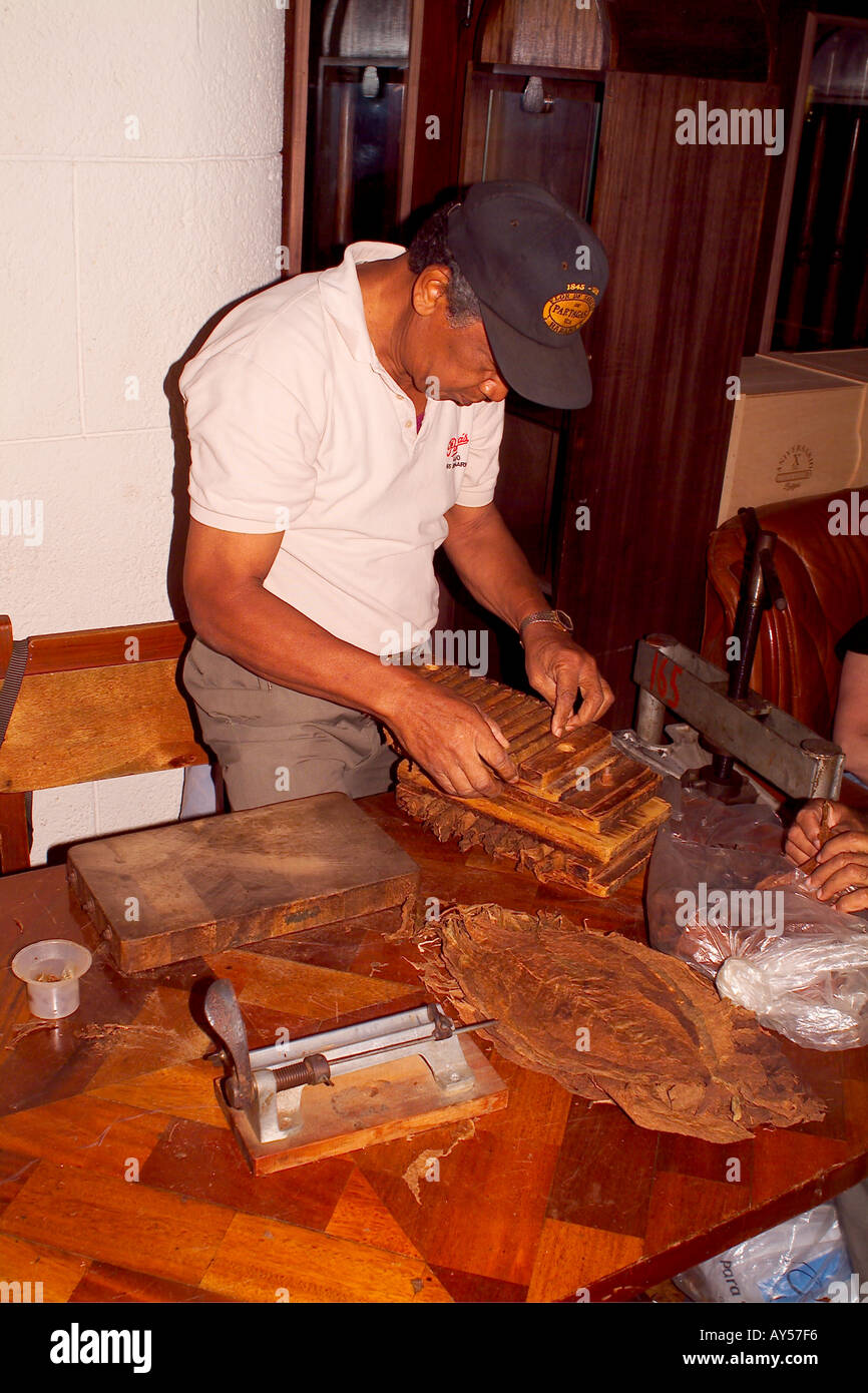 Man Rolling Traditional Handmade Partagas Cuban Cigars in Cuba Stock ...