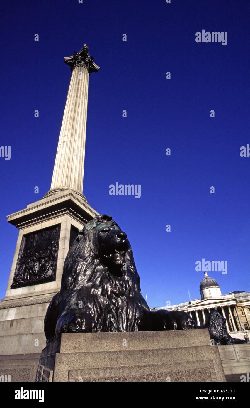 Nelson s Column and lion statue in Trafalgar Square London UK Stock ...