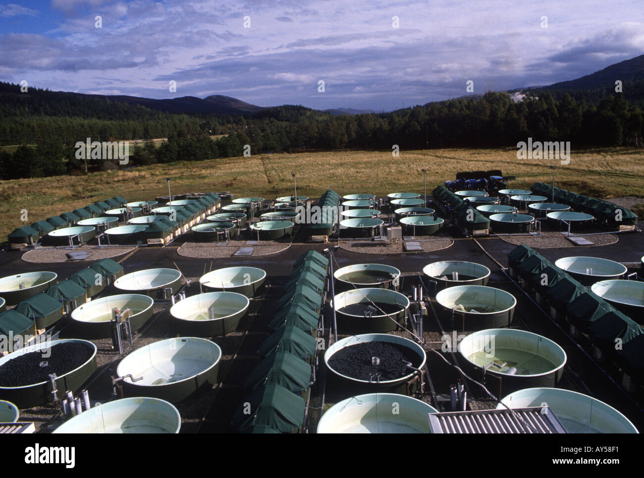 Salmon hatchery scotland hi-res stock photography and images - Alamy