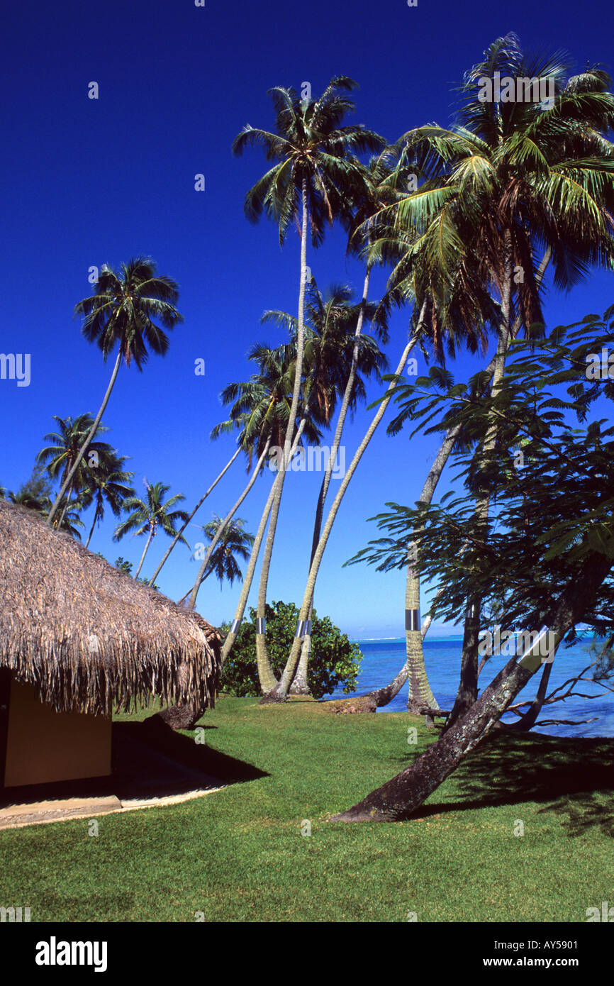 Vacationing on the Scenic Beaches of Moorea Tahiti French Polynesia ...