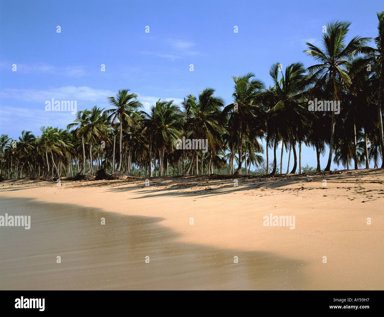 Dominican Republic Punta Cana Playa Macao Stock Photo - Alamy