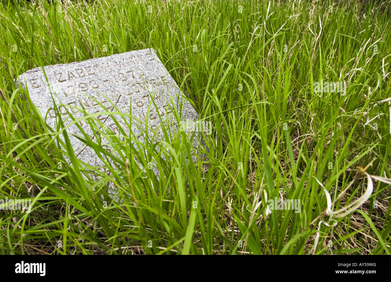 Grave cemetery neglected overgrown weeds hi-res stock photography and ...