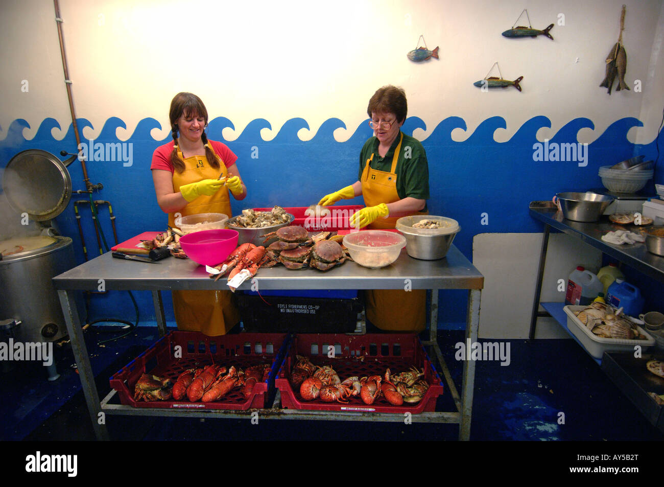 Cornwall fresh fish sold in the harbour of Port Isaac Stock Photo - Alamy