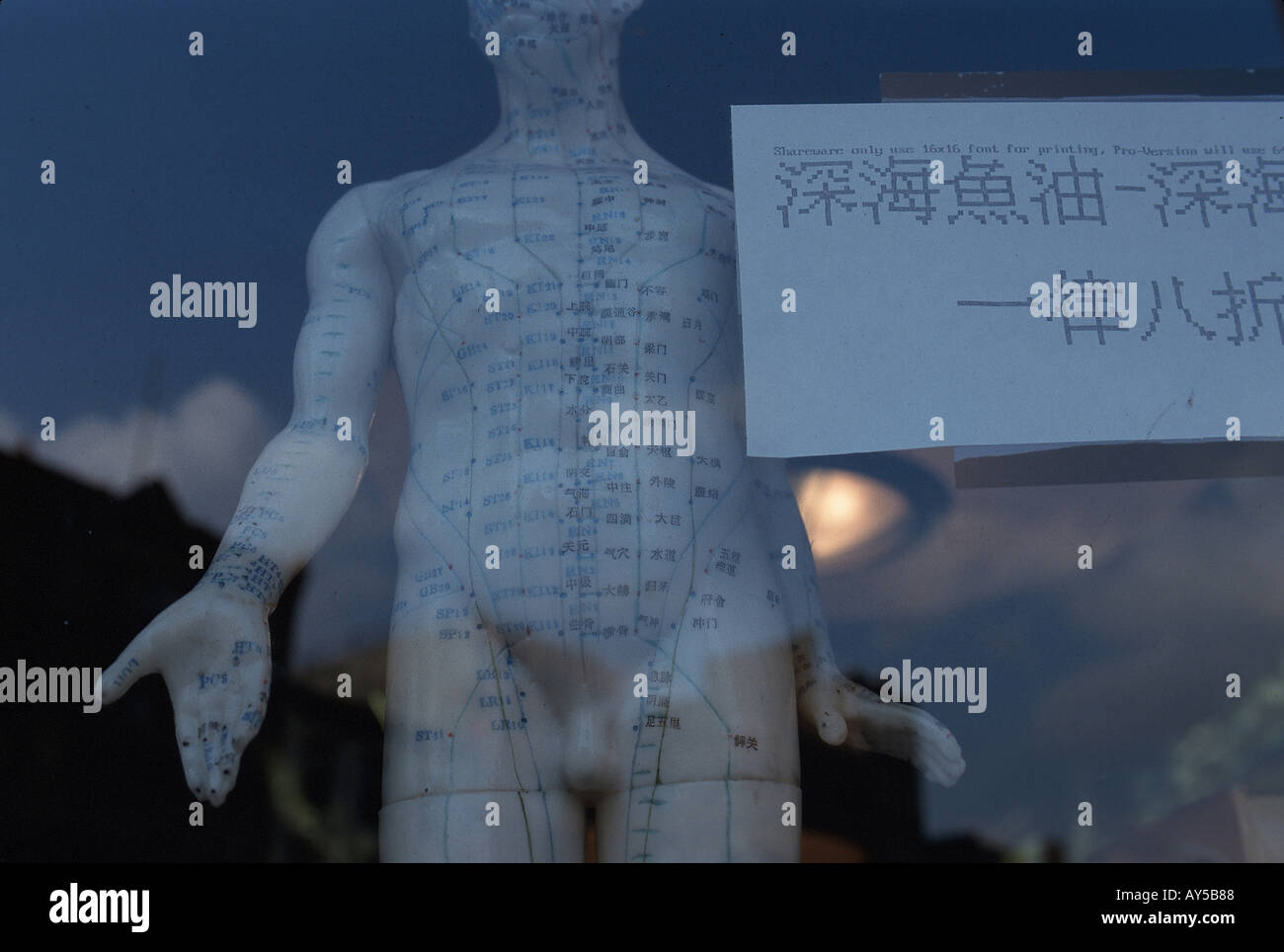 Acupuncture doll hi-res stock photography and images - Alamy