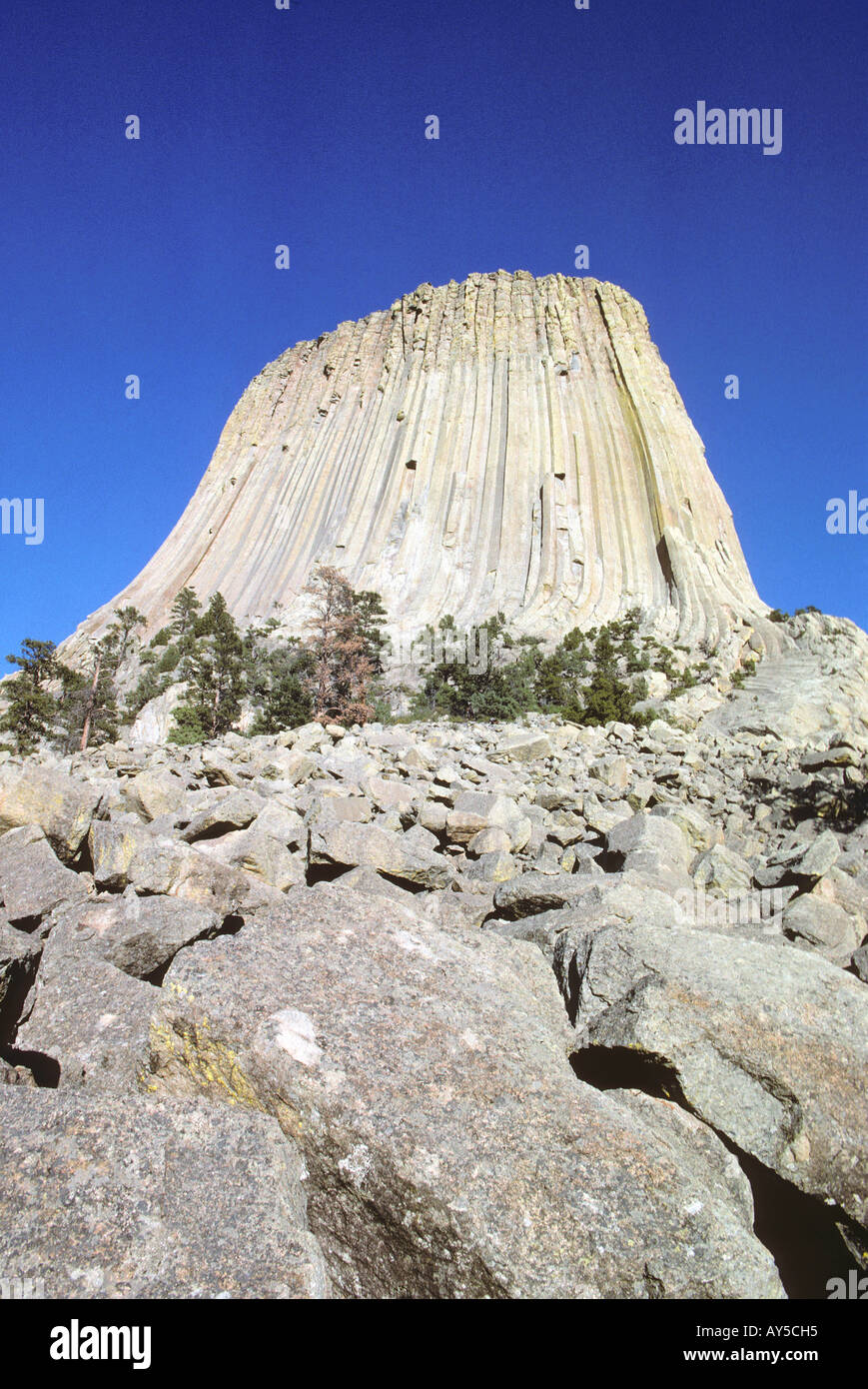 USA National Park Devil s Tower Stock Photo - Alamy
