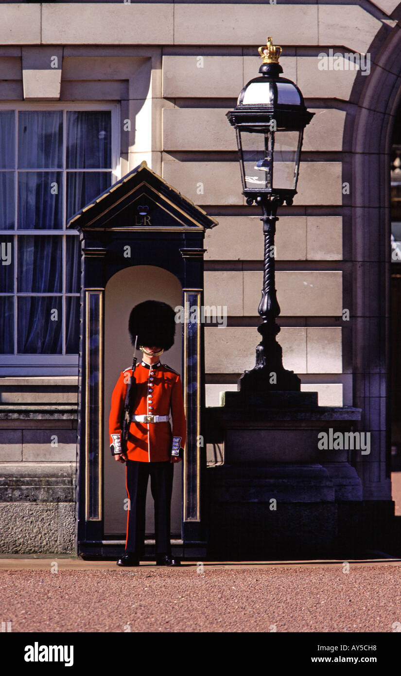 Soldier standing guard outside Buckingham Palace London UK Stock Photo ...