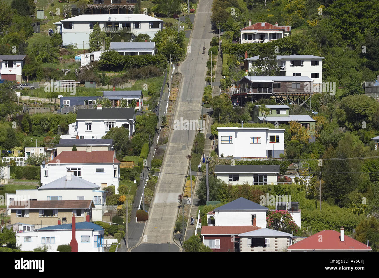 Baldwin Street world s steepest street Dunedin South Island New Zealand ...