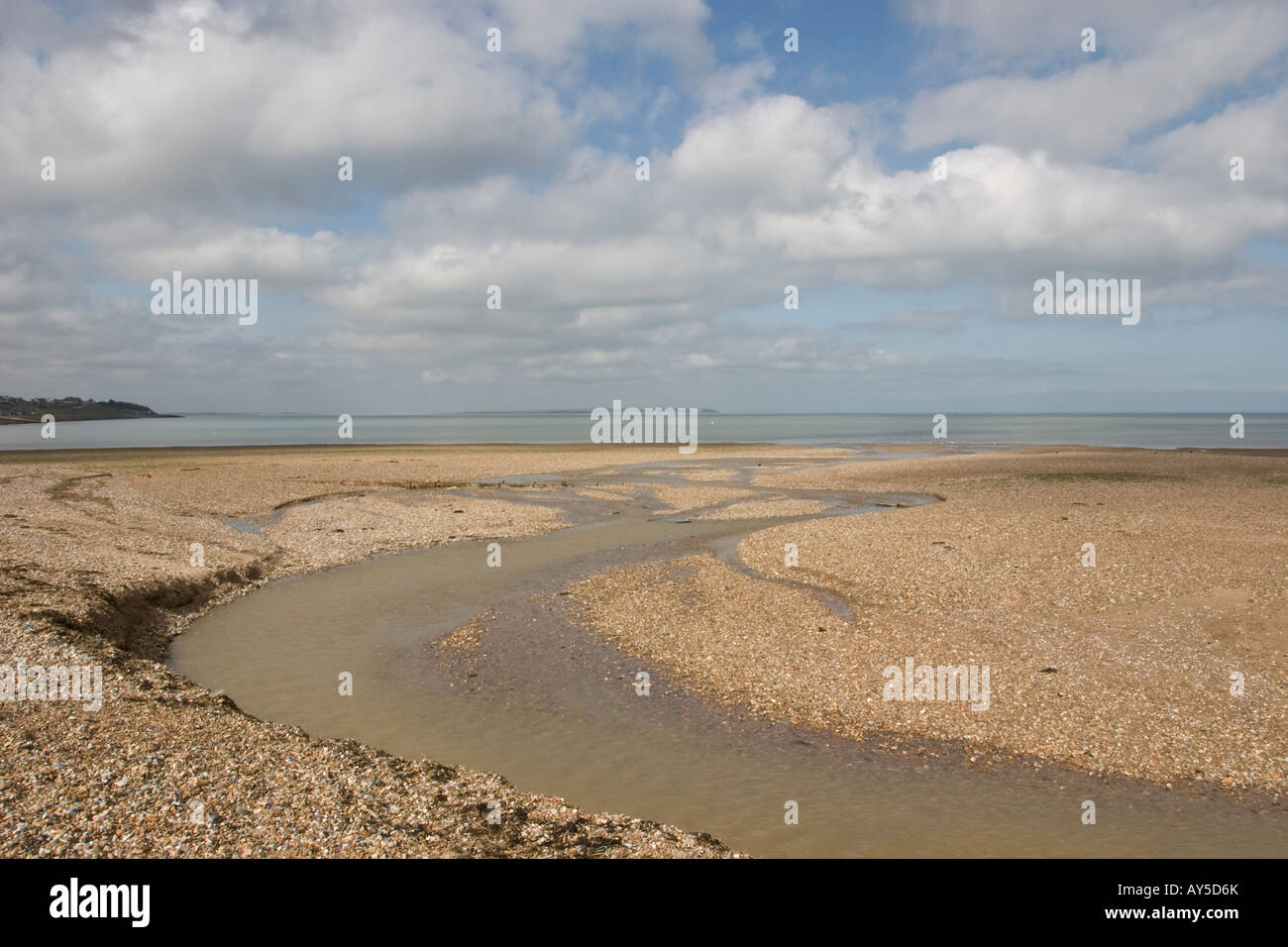 Swalecliffe Brook flows out to the Thames estuary creating many shingle ...