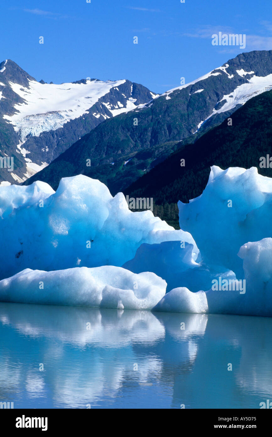 Wonderful Blue Icebergs and Glaciers Portage Glacier Alaska Stock Photo ...