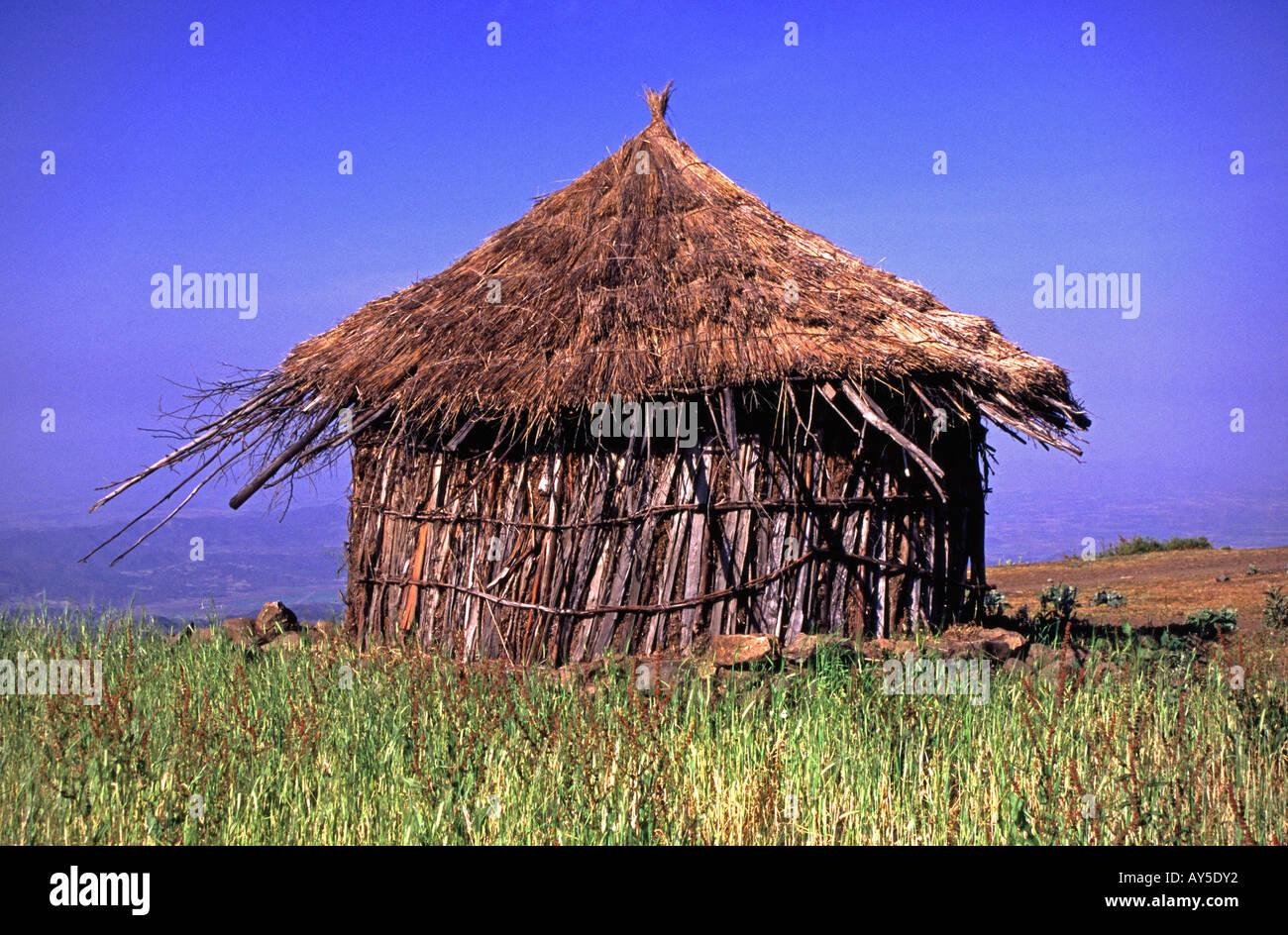 Typical farm hut beside crops in the highlands above the toen of ...