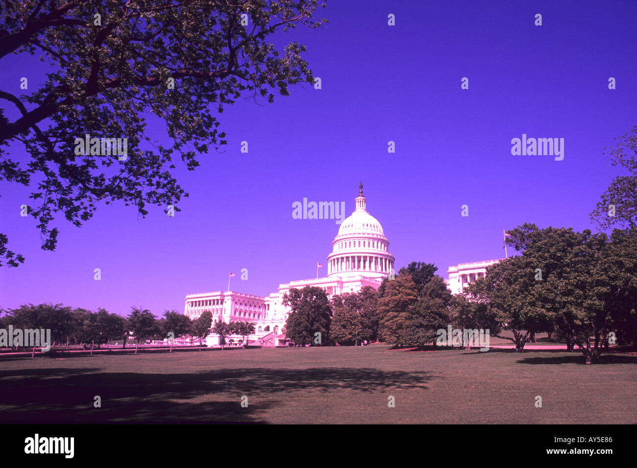 Scene of Capitol Building Washington DC Stock Photo - Alamy