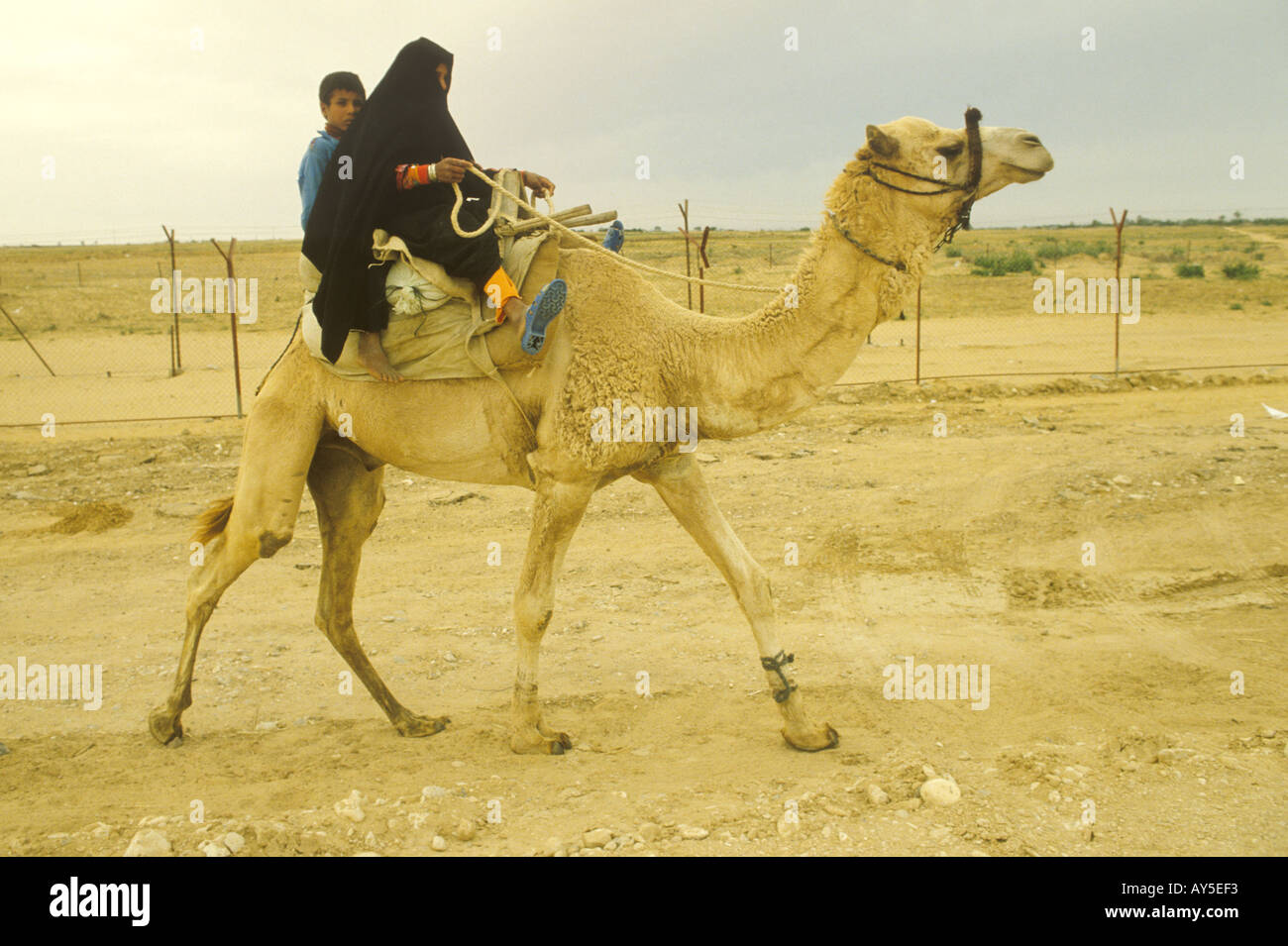 Son of the middle border hi-res stock photography and images - Alamy