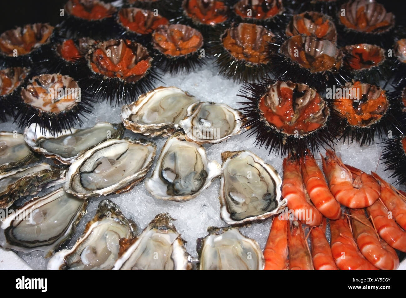 Sea urchin food hi-res stock photography and images - Alamy