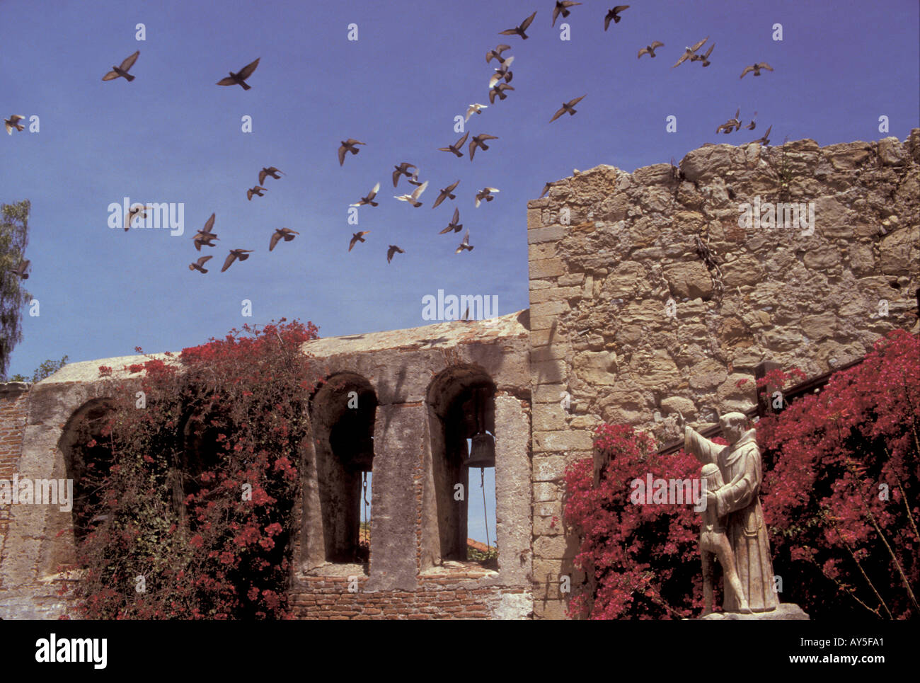 San Juan Capistrano Swallows Migration