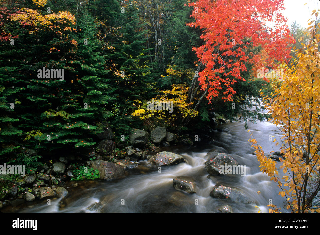 Colorful New England Scene Of Moving Stream And Fall Colors Groton ...