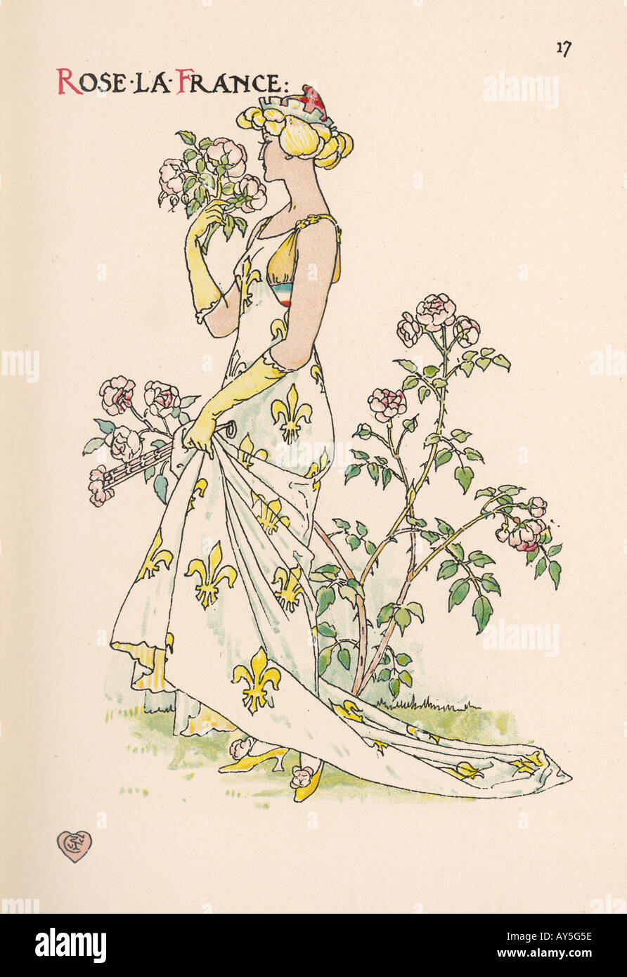 Plants Rose La France Stock Photo - Alamy