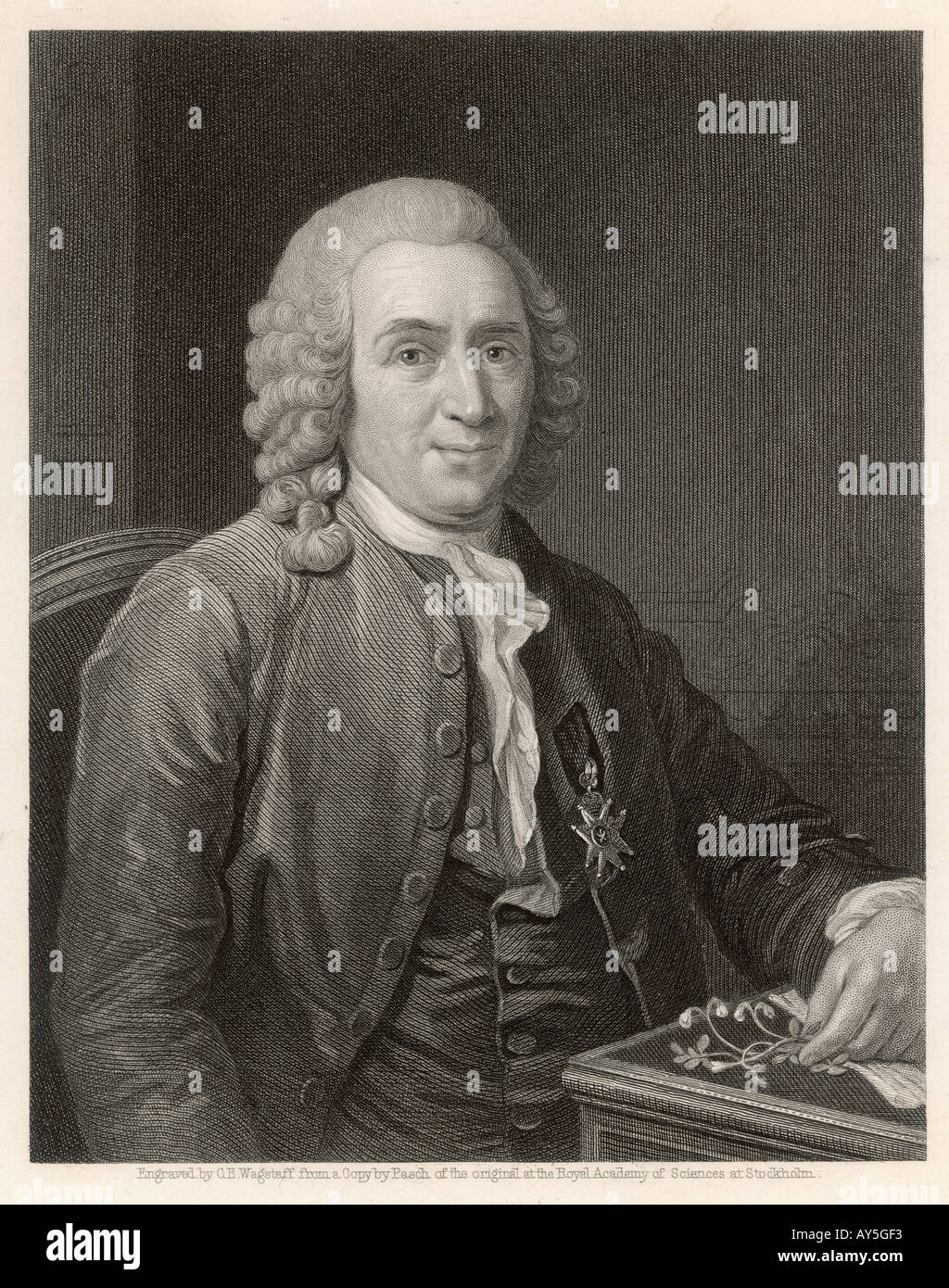 Swedish naturalist carl linnaeus hi-res stock photography and images ...