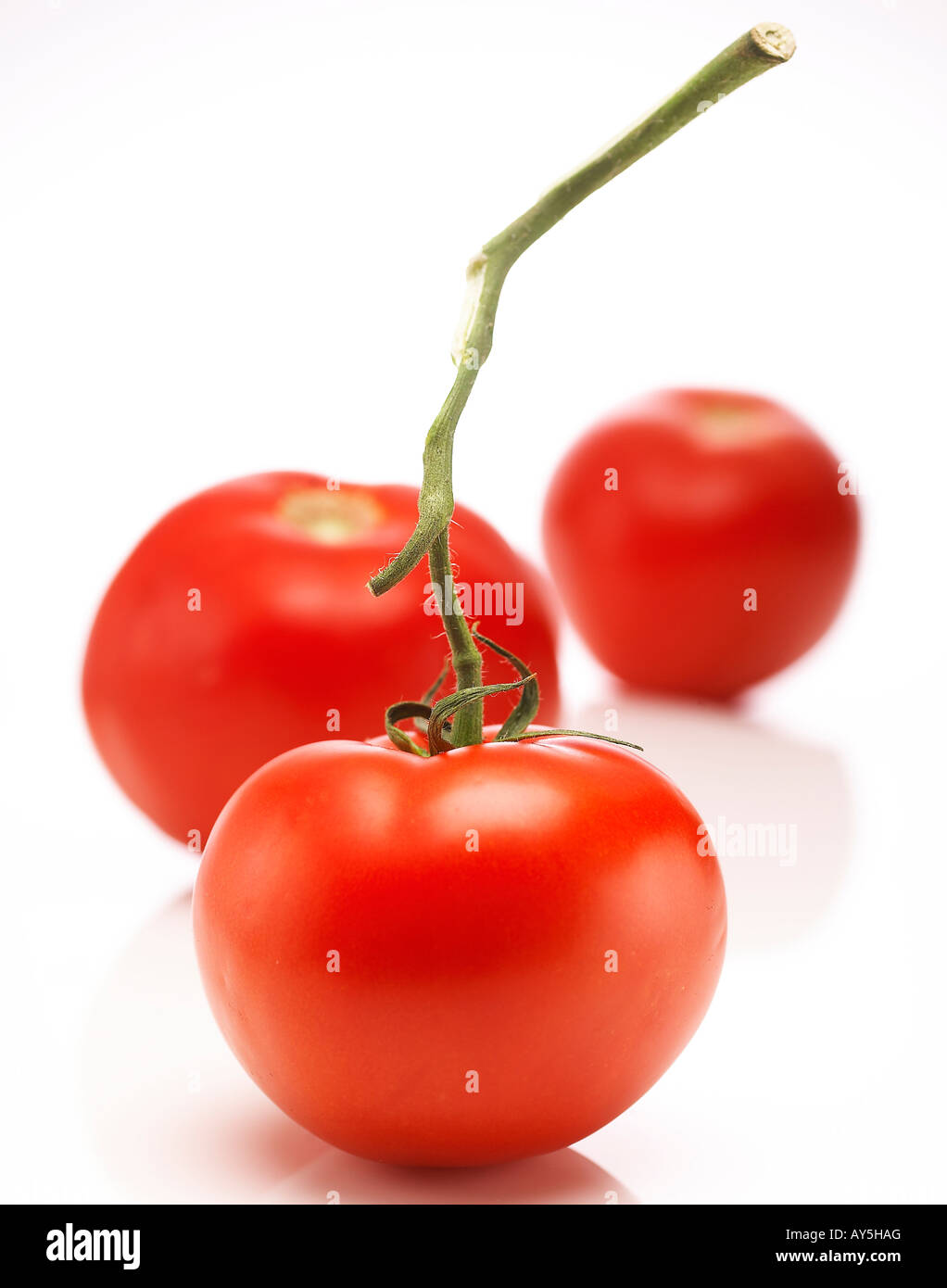 Tomato Pip High Resolution Stock Photography and Images - Alamy