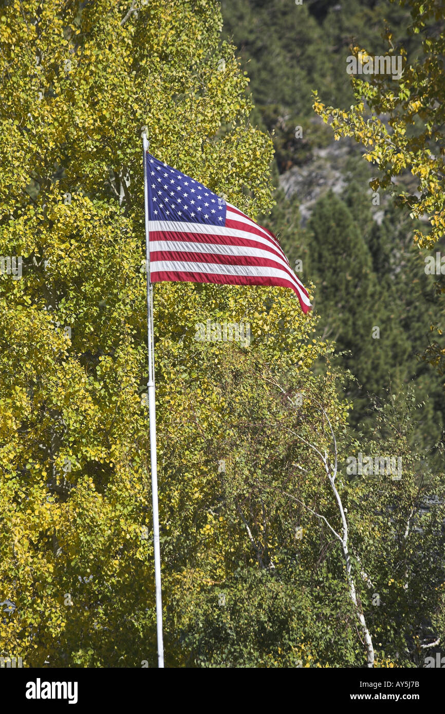 Stars and Stripes American flag of the USA against fall color ...